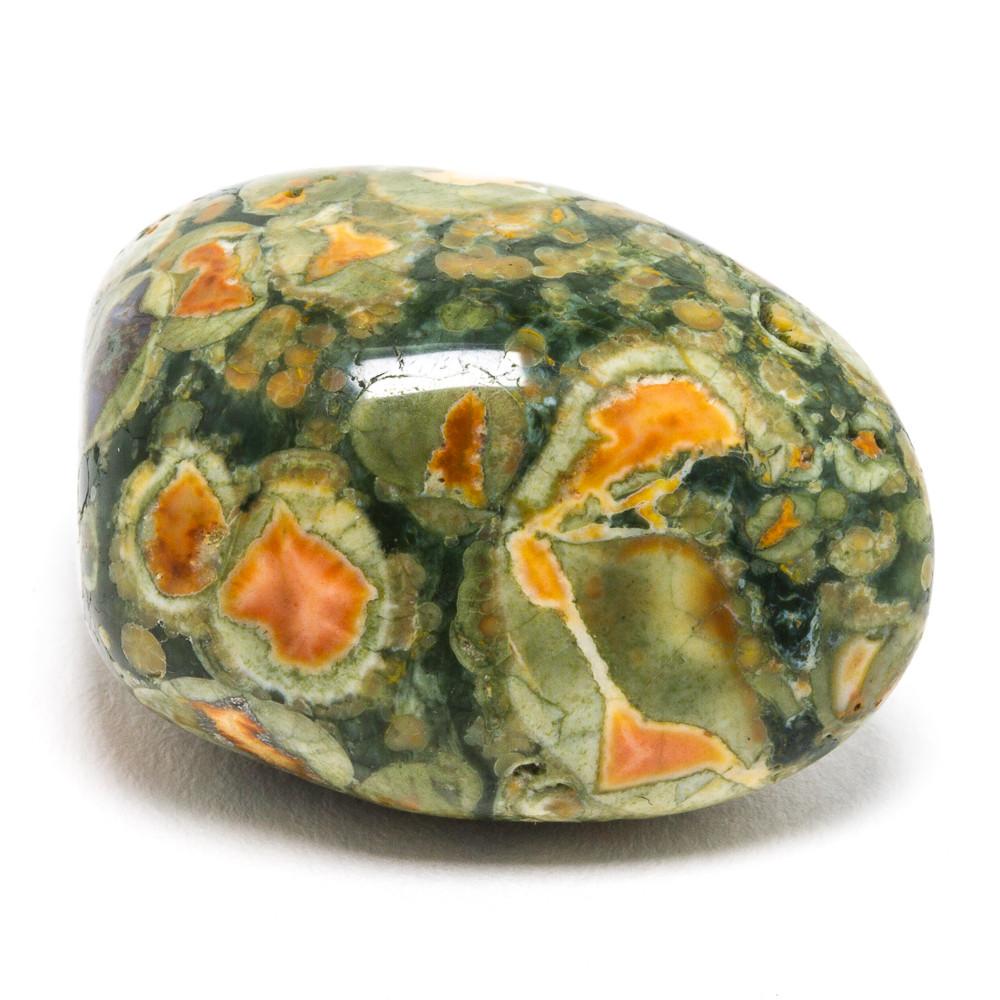 Rhyolite (Rainforest Jasper) | Venusrox